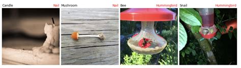 If You Can Identify Whats In These Images Youre Smarter Than AI