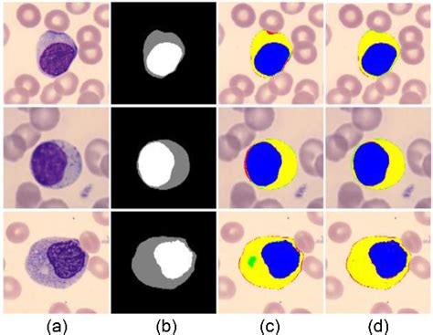 Figure 1 From Deep Features Aggregation Based Joint Segmentation Of Cytoplasm And Nuclei In
