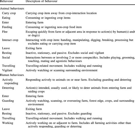 categories of behaviour used for scan sampling adapted from wallace
