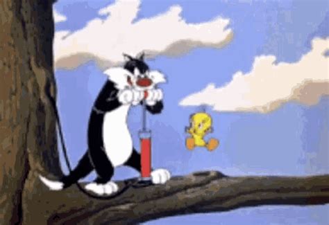 Sapo Dancando Looney Tunes Gif