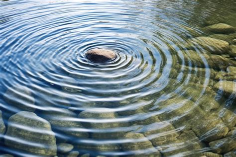 Our Impact — West Cumbria Rivers Trust