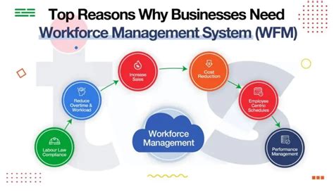 A Deep Dive Into Workforce Management Systems Wms