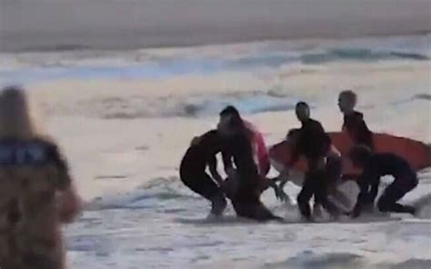 Surfista Morre Após Ataque De Tubarão Em Praia Da Austrália Veja