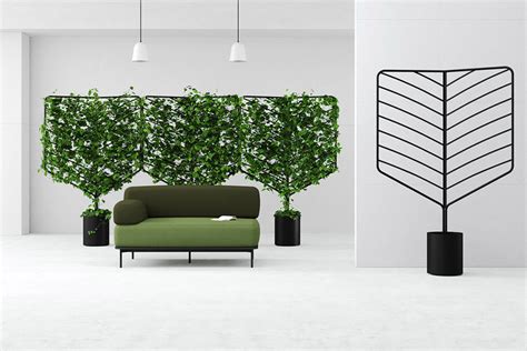 Plantas Convertidas En Paredes Verdes Un Separador De Espacios Sencillo Y Natural