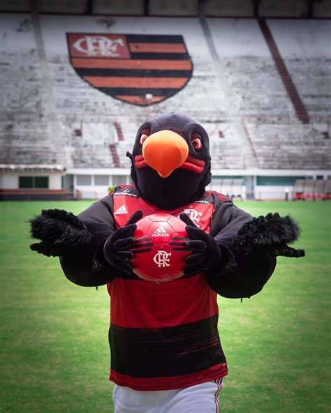 Mascote Do Flamengo Nossofla