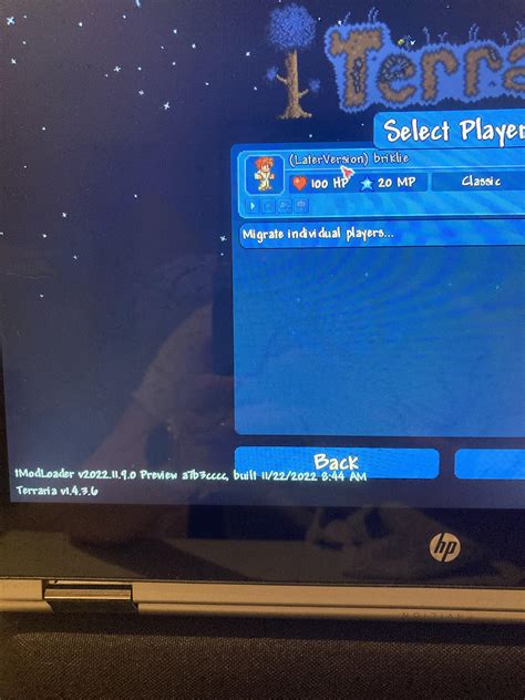 Cant Copy Character Over To Tmodloader Tried Multiple Ways But Am