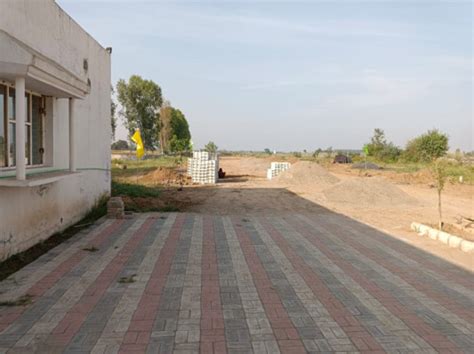Sky Land In Dappar Dera Bassi By No Project Builder Realestateindia Com