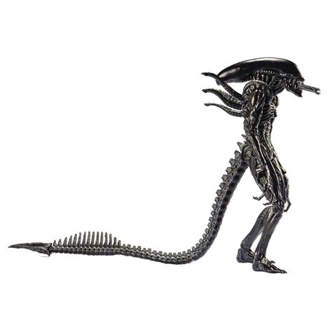 Xenomorph Carrier