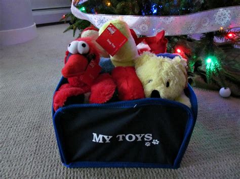 Подарок от Санты