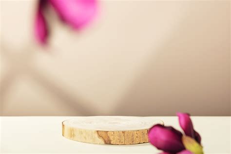 나무 조각 연단 목련 꽃 및 창 그림자 신제품 프로모션 판매 배너 프리젠 테이션 화장품을위한 컨셉 장면 무대 쇼케이스 0명에 대한 스톡 사진 및 기타 이미지 Istock