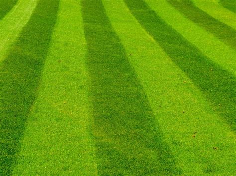 Lawn Pattern Landscaping Tips For Cutting A Lawn In Patterns Gardening Know How