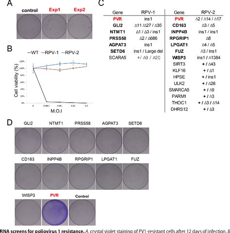 Figure 1 From Crisprcas9 Mediated Gene Knockout Screens And Target