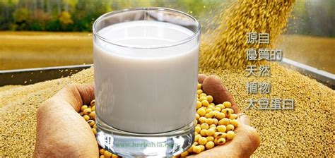 康寶萊herbalife獨立會員》康寶萊產品訂購》線上查詢營養蛋白素》登記康寶萊會員》查詢產品功效及價格