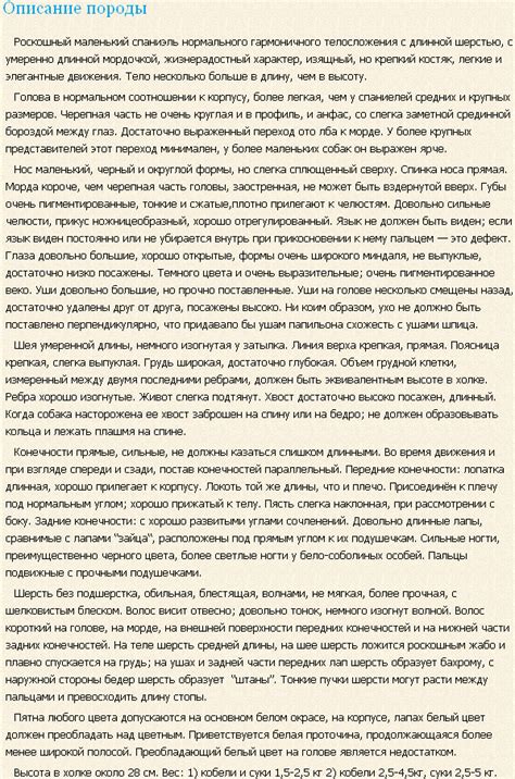 Папильон — обзор породы (полное описание, фото, видео)