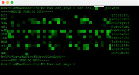 Setting Up Oci Api Keys Dbasolved