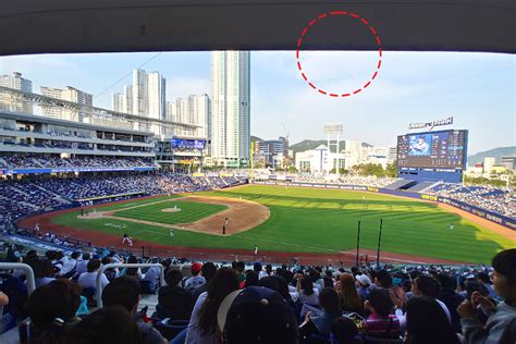 창원nc파크 200 즐기기 꿀tip 대방출