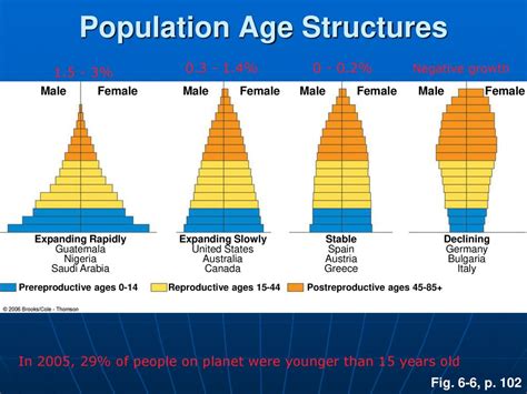 3 Different Age Structure Diagrams Using Y And X Axis Sectio