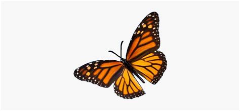 Monarch Butterfly Emoji