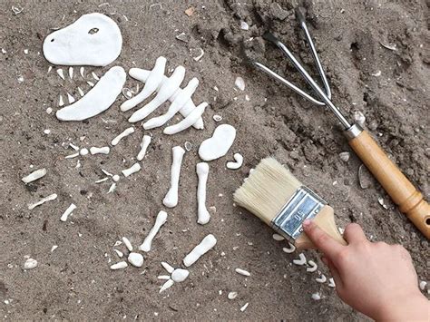Dino knutselen Meer dan 25 knutsels voor échte dinosaurus fans