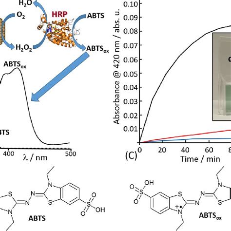 A Schematics Of The Au Np Nanozyme Catalytic Operation Coupled To The Download Scientific
