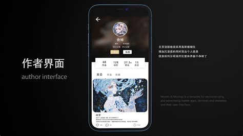 山海国风ui 百夜appro文鲸 站酷zcool