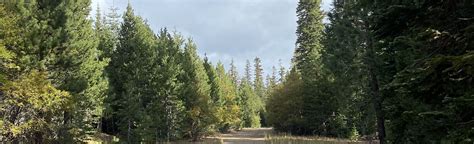 Yuba Pass North Winter Route 11 Reviews Map California Alltrails