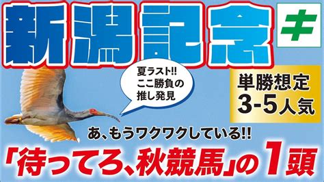 新潟記念 2022 【予想】「待ってろ秋競馬」夏競馬の締めくくりは「秋も期待の★あの馬」 Wacoca News