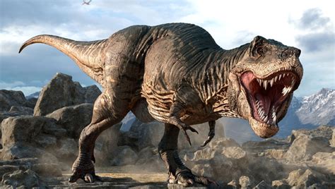 T Rex