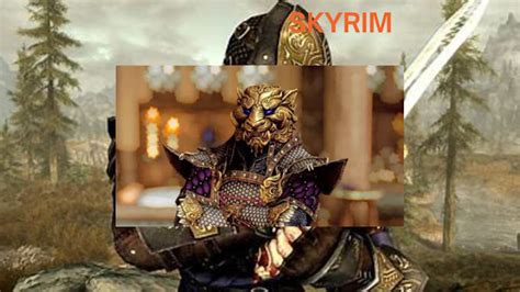 Create A Custom Skyrim Model 3d Model Fallout Character Mods Asset By