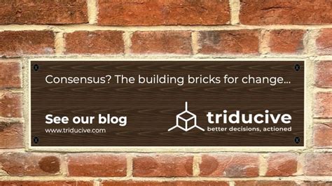 Triducive Delphi Consensus Triducive®