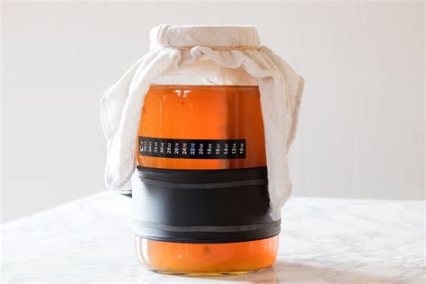 Loose Leaf Tea Kombucha Recipe