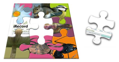 Lrc Drupal Template Documentation — Lrc Drupal Template 10 Documentation