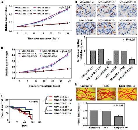 Kisspeptin 10 Inhibits The Migration Of Breast Cancer Cells By