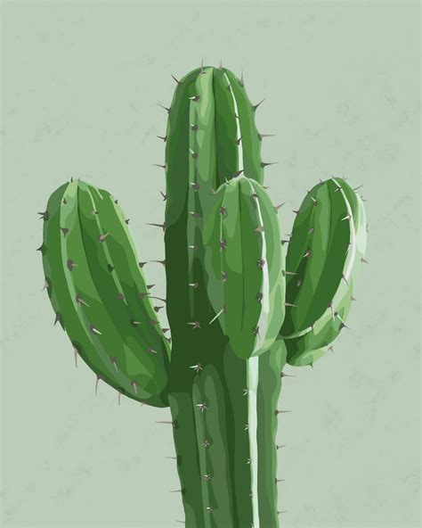 Prickly Perfection 15 Beautiful Cactus Drawing Ideas Easy Tutorials