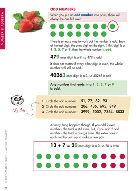 Blakes Maths Guide Middle Primary Pascal Press 9781742159034 Educational Resources And