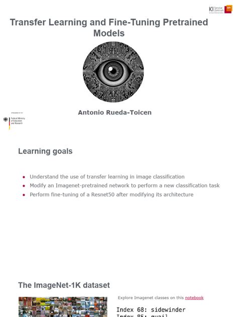 Video18 Transferlearningandfine Tuningpretrainedmodels Pdf Applied Mathematics