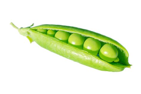 흰색 배경에 고립 된 콩과 신선한 녹색 완두콩 클리핑 경로와 흰색 위에 고립 된 가까이에 달콤한 완두콩 콩을 분리한 완두콩 포드
