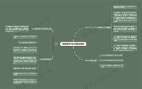 嫖娼罪的认定方法有哪些思维导图编号p8952175 Treemind树图
