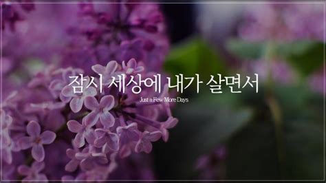 조엘 리 Joel Lee 잠시 세상에 내가 살면서