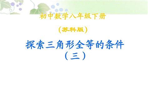 名校联盟 江苏省金湖县外国语学校七年级数学《113探索全等三角形的条件3》课件word文档在线阅读与下载无忧文档