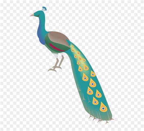 Peacock Clipart Free 10 Free Cliparts Download Images On Clipground 2024