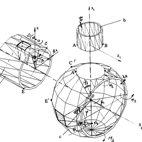 the decomposition the body into shell items download scientific diagram