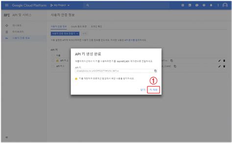 Api Geocoding Api