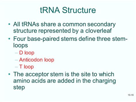 Molecular Biology Fourth Edition Ppt Download