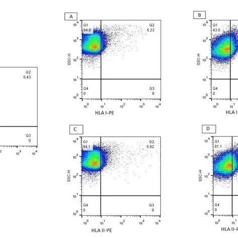 Representative Flow Cytometry Dot Plots A And C Flow Cytometry Dot