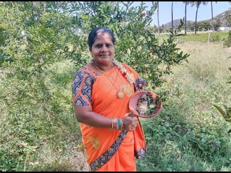 Paarai Fish Varuval Amma S Special YouTube