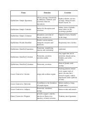 Understanding Tissue Types: Functions and Locations Explained | Course Hero