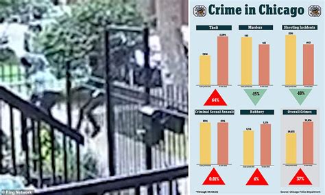 Shocking Moment Chicago Woman Is Attacked And Robbed At Gunpoint