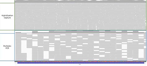 Target Capture Multiplex Pcr Vs Hybridization Capture Celemics Inc
