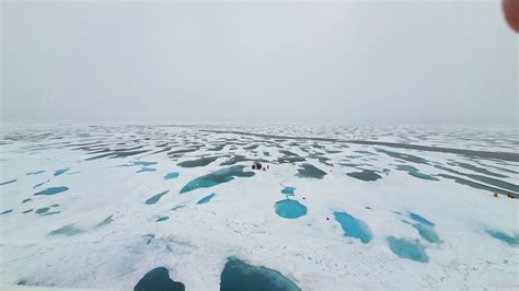[스프] 뜨거워지는 북극 지구 평균보다 4배 빠르다